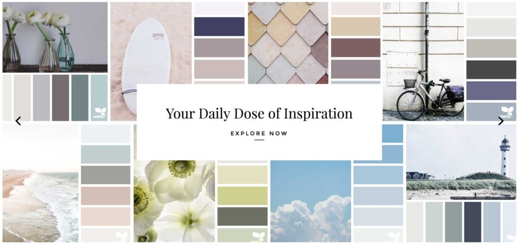 Exterior House Colours: 5 Tips To Get It Right | Undercover Architect