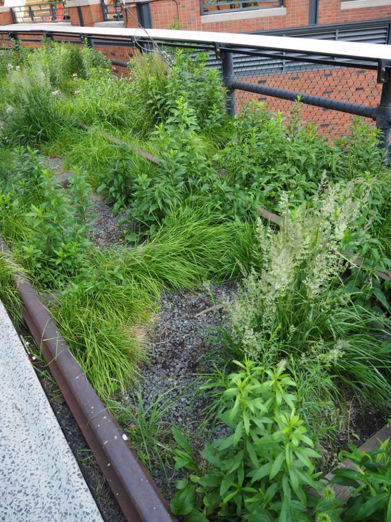 What can the High Line can inspire in your home’s own garden design?