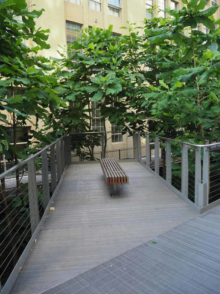 What can the High Line can inspire in your home’s own garden design?